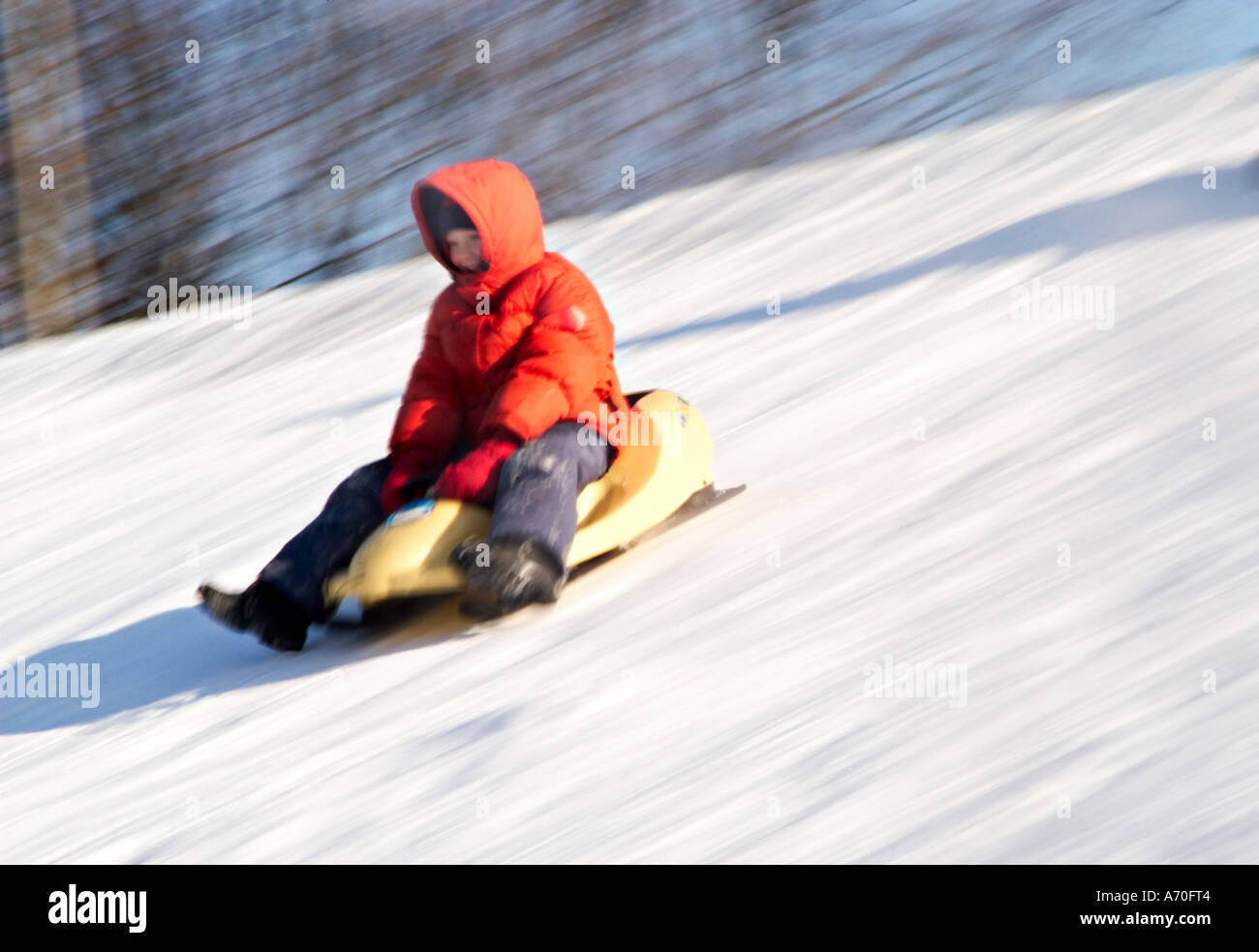 Bob junge -Fotos und -Bildmaterial in hoher Auflösung – Alamy