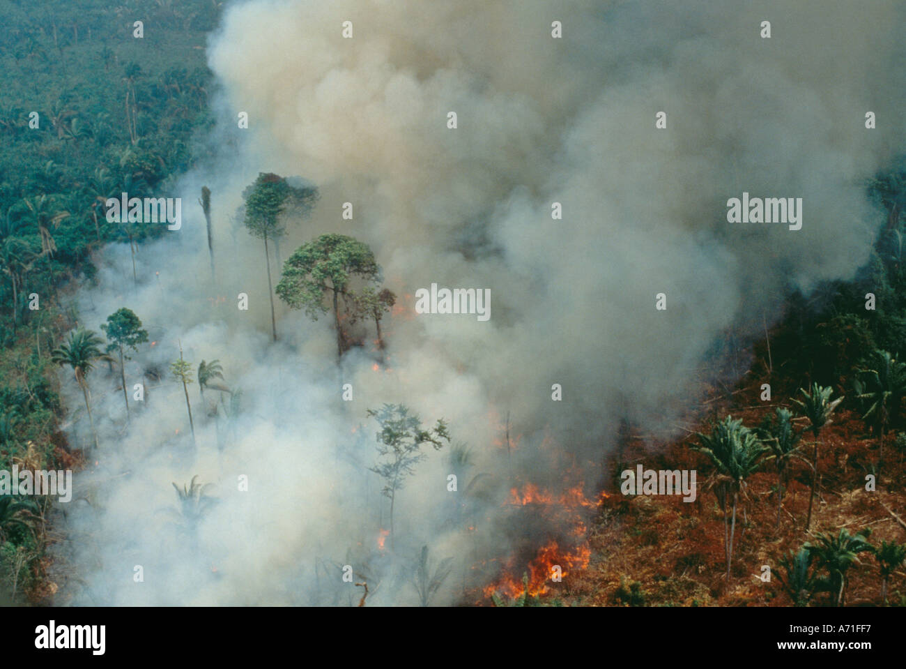 Amazonas Regenwald Brennen Stockfotos & Amazonas Regenwald Brennen ...