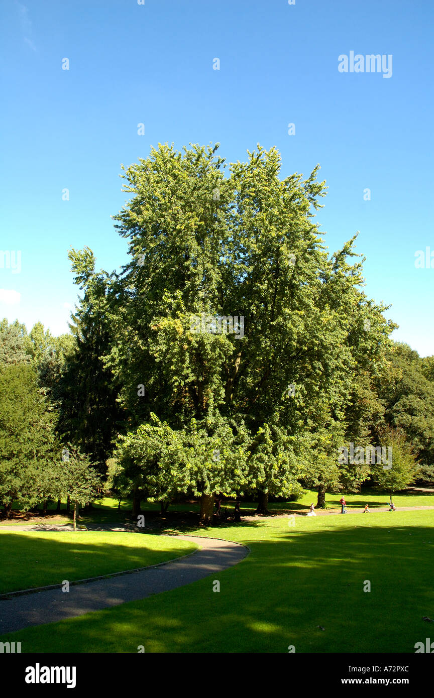 Josaphat park -Fotos und -Bildmaterial in hoher Auflösung – Alamy