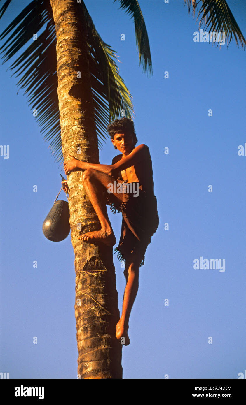 Betul goa -Fotos und -Bildmaterial in hoher Auflösung – Alamy