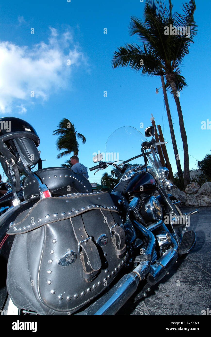 Harley davidson motorcycle florida usa -Fotos und -Bildmaterial in ...