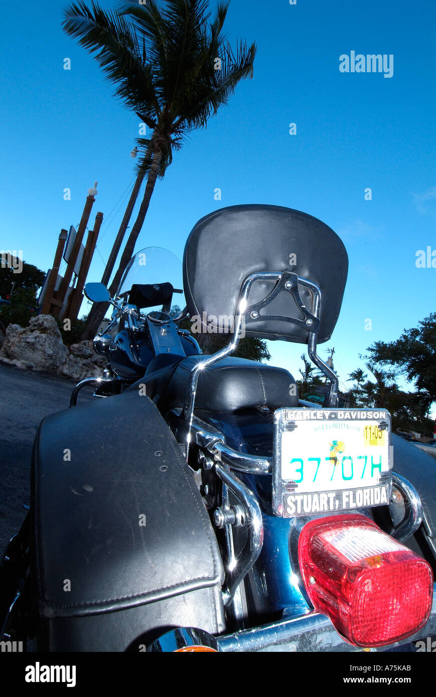 Harley davidson motorcycle florida usa -Fotos und -Bildmaterial in ...