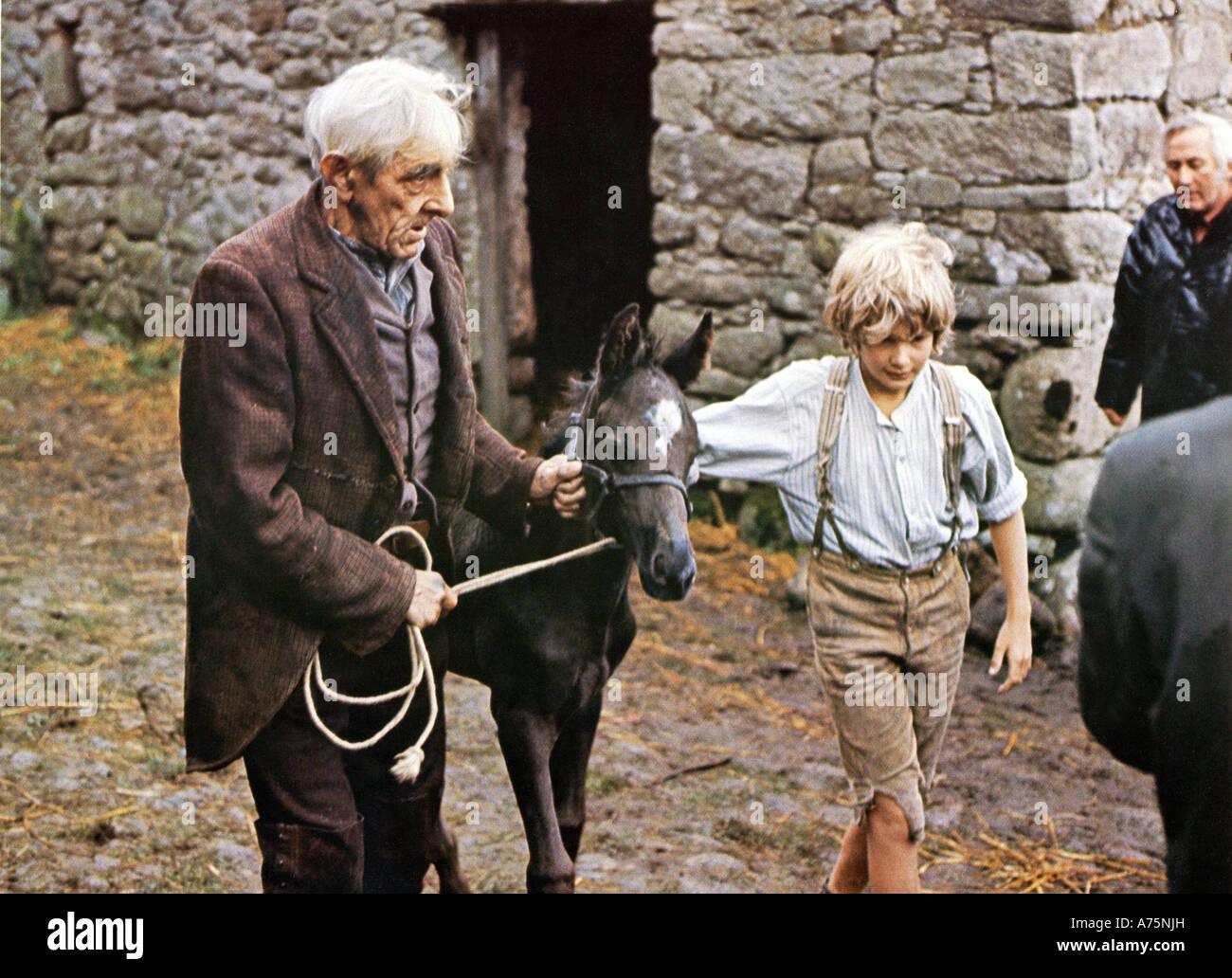 Black beauty 1971 -Fotos und -Bildmaterial in hoher Auflösung – Alamy