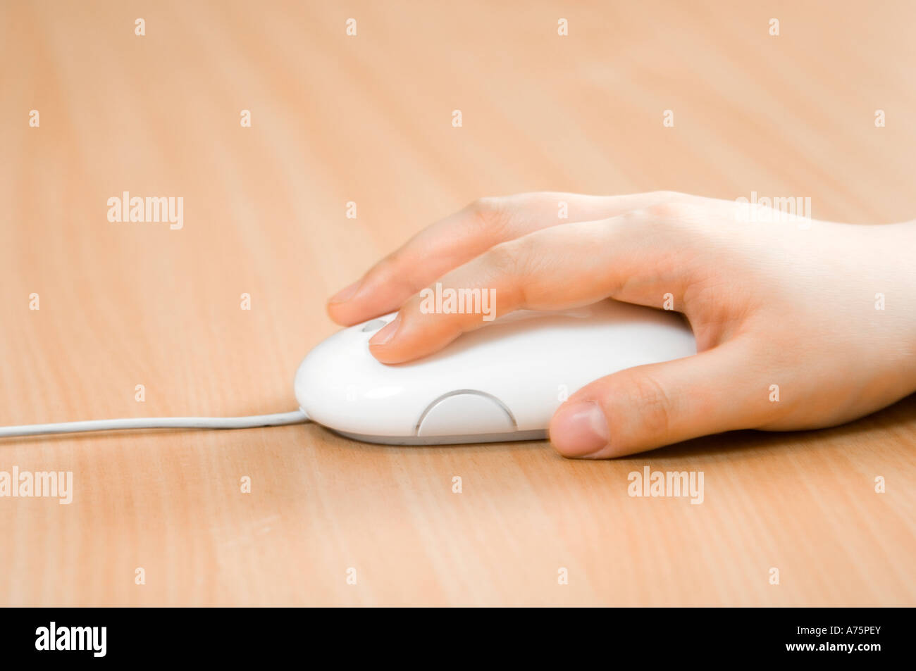 Nahaufnahme Bild von einem weißen Womans Hände halten eine Computer ...