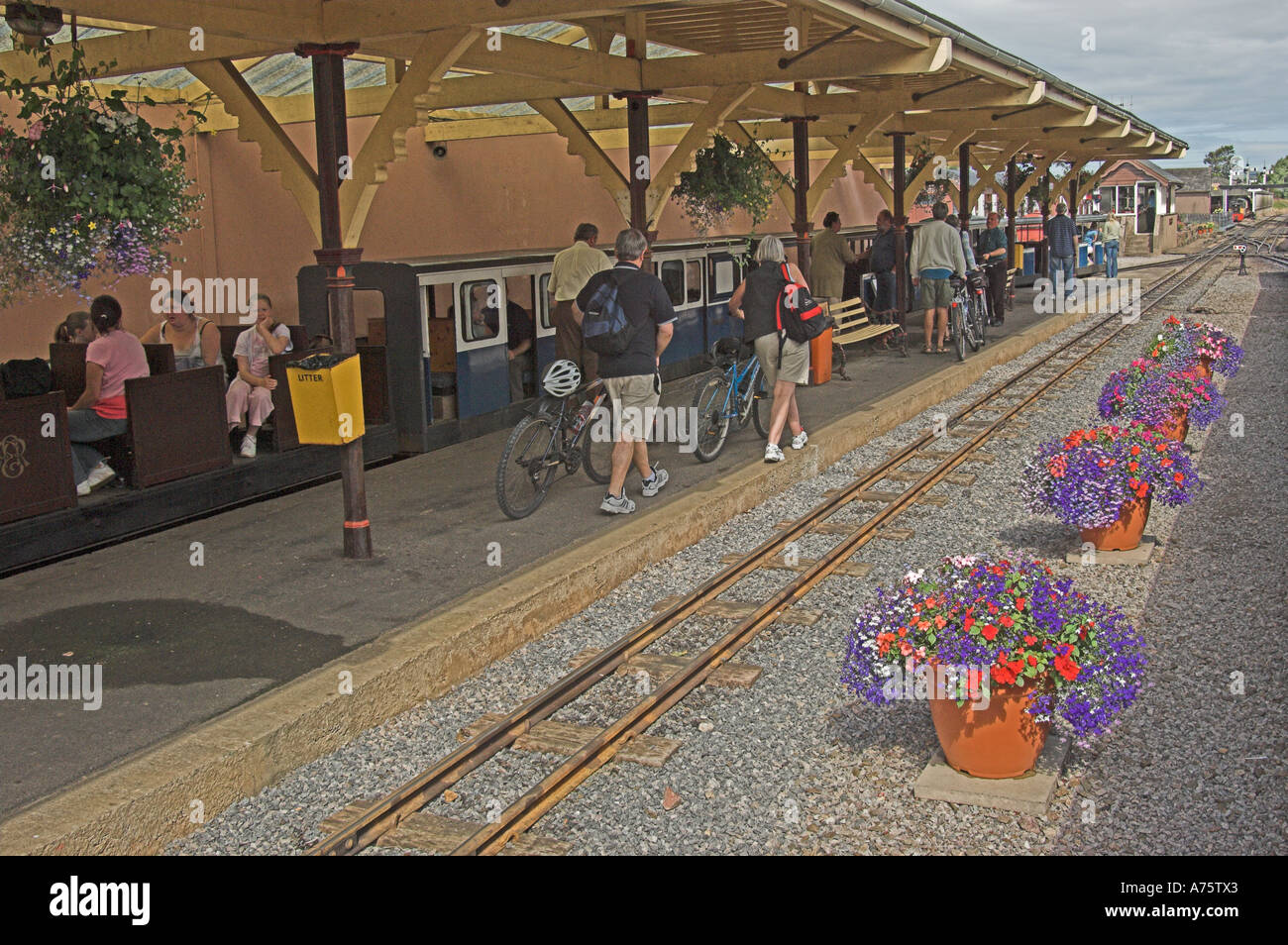 Lila plattform -Fotos und -Bildmaterial in hoher Auflösung – Alamy