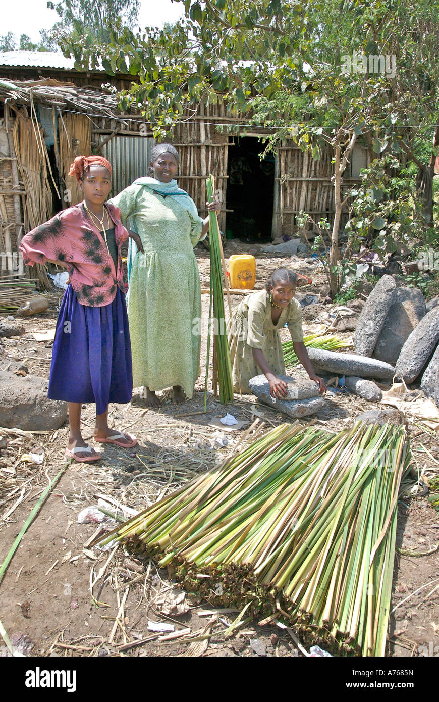 Papyrus reed boot -Fotos und -Bildmaterial in hoher Auflösung – Alamy