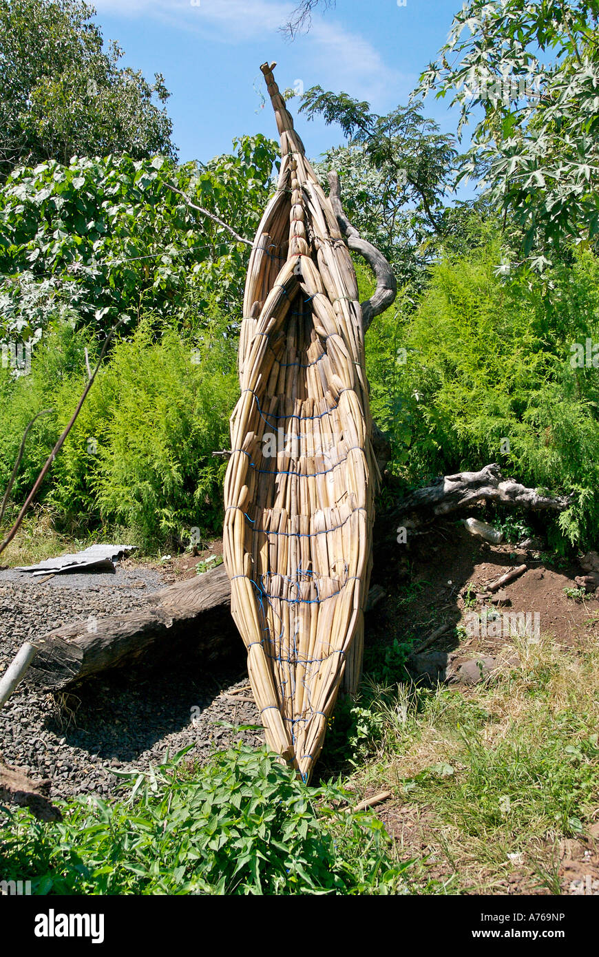 Tankwa Papyrus Boot Stockfotografie - Alamy