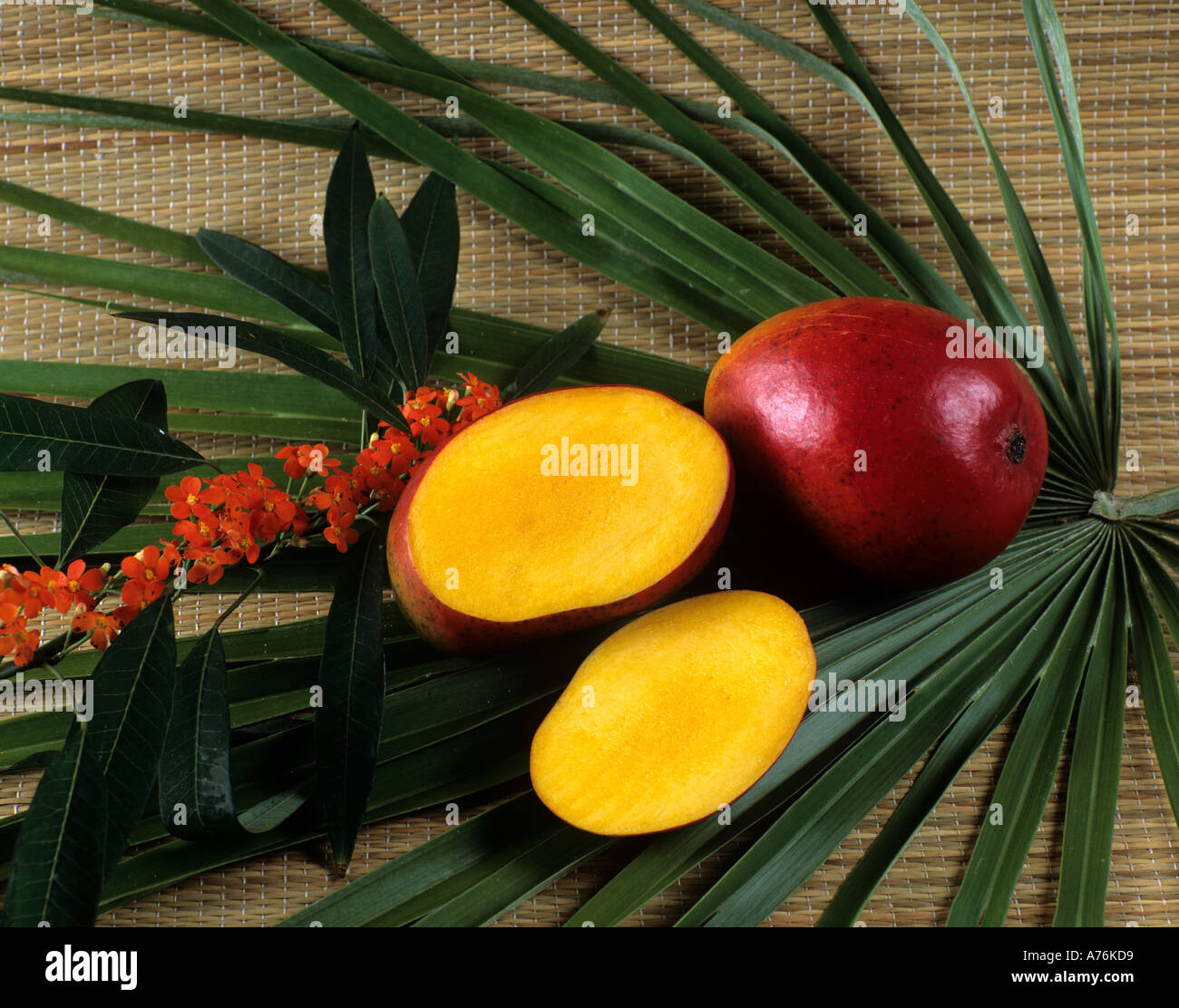 Blume frisch -Fotos und -Bildmaterial in hoher Auflösung – Alamy