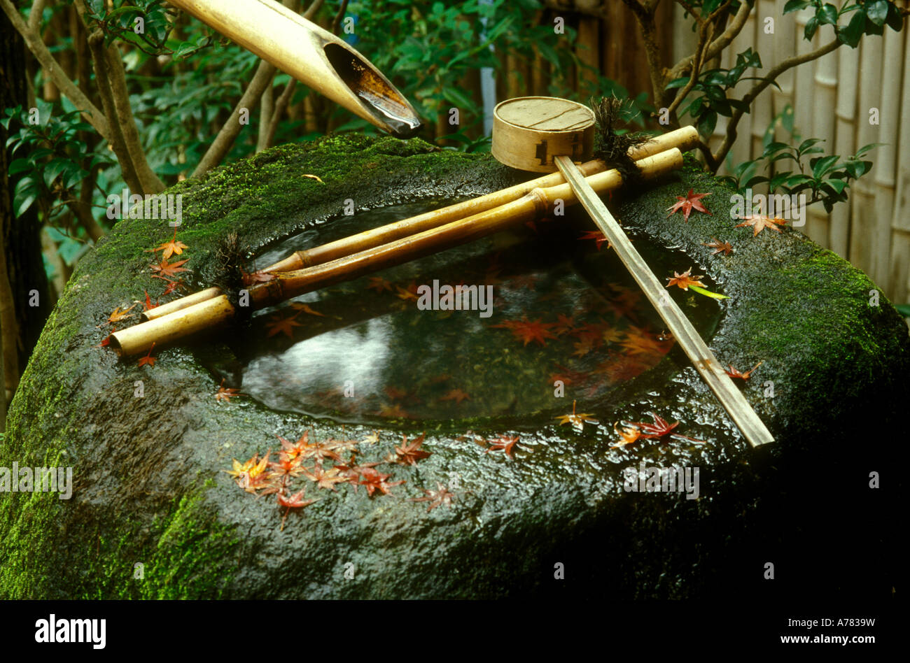 Japanese garden moss fountain -Fotos und -Bildmaterial in hoher ...