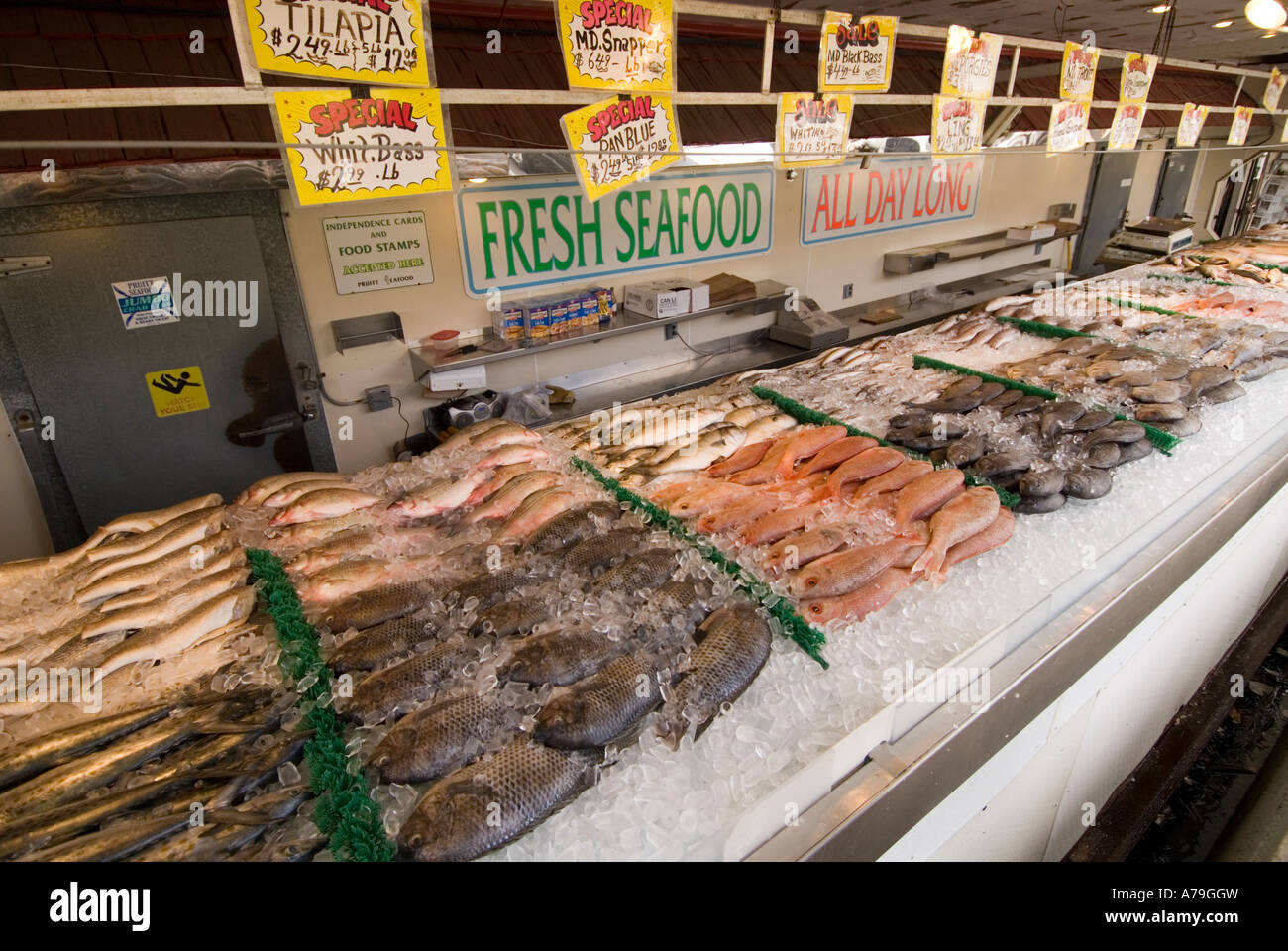 Washington DC frischen Fisch und Schalentiere Lebensmittelmarkt Maine ...