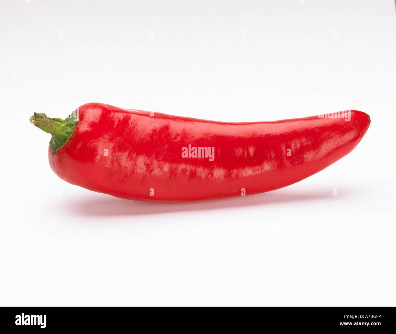 Single red chilli -Fotos und -Bildmaterial in hoher Auflösung – Alamy