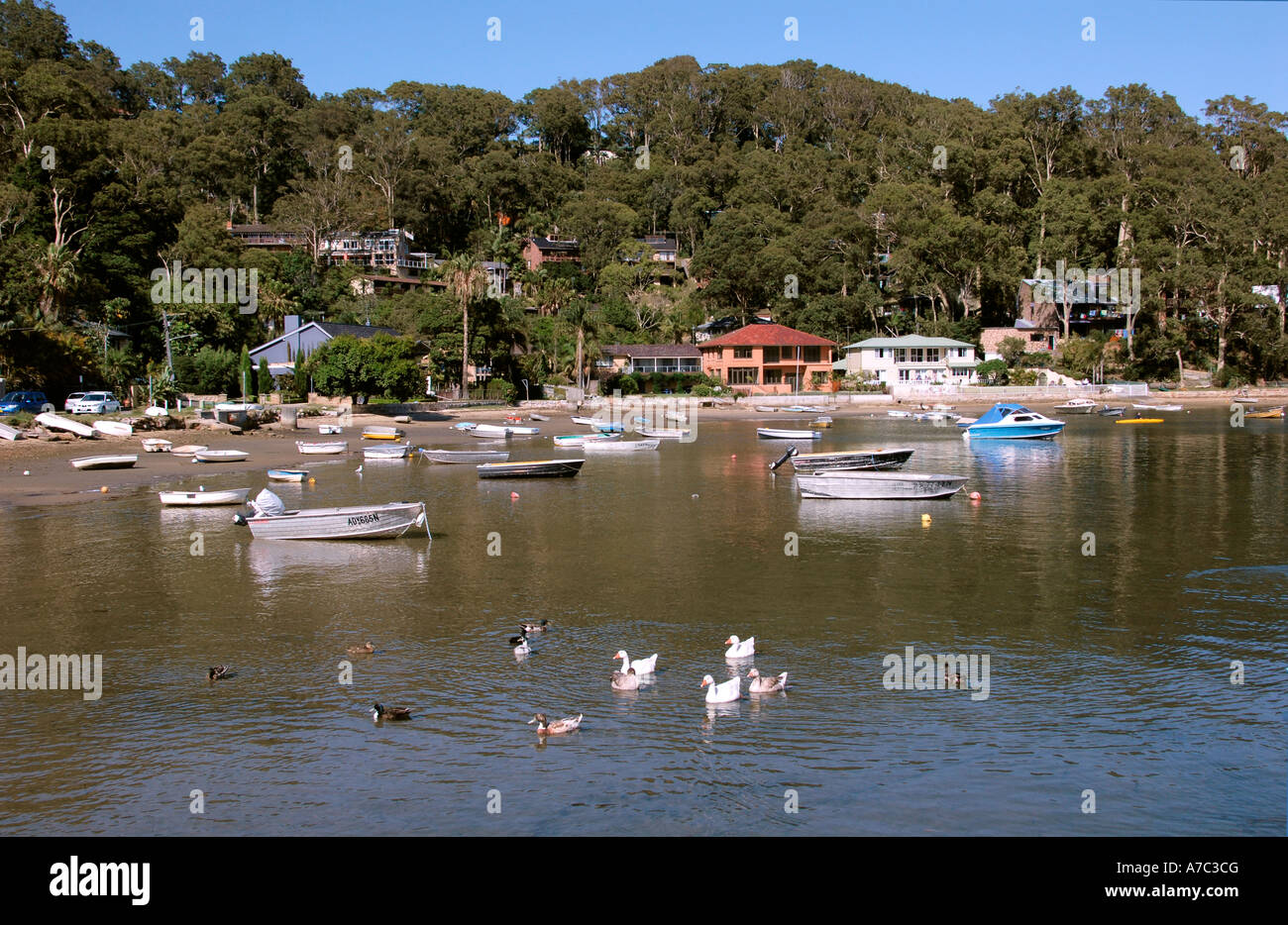 Careel bucht -Fotos und -Bildmaterial in hoher Auflösung – Alamy