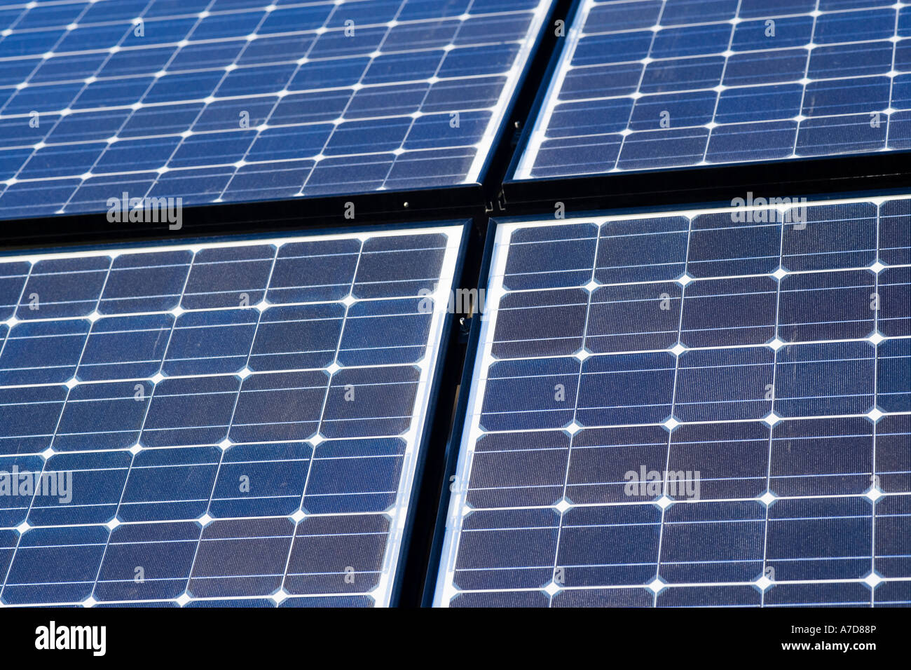 Array von Solarzellen zur Stromerzeugung. Reihen von monokristallinen ...