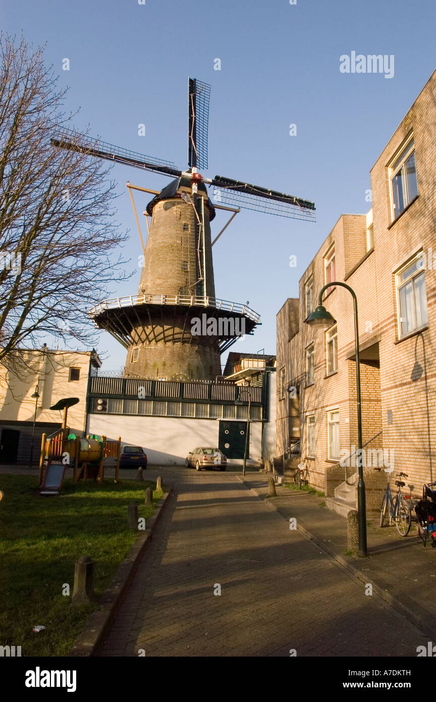 Molen de roode leeuw -Fotos und -Bildmaterial in hoher Auflösung – Alamy