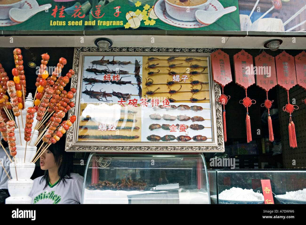 Insects Food Skewers Stockfotos und -bilder Kaufen - Alamy