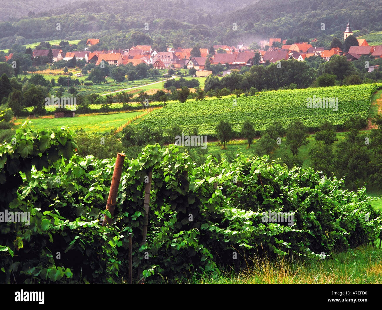 Lembach alsace -Fotos und -Bildmaterial in hoher Auflösung – Alamy