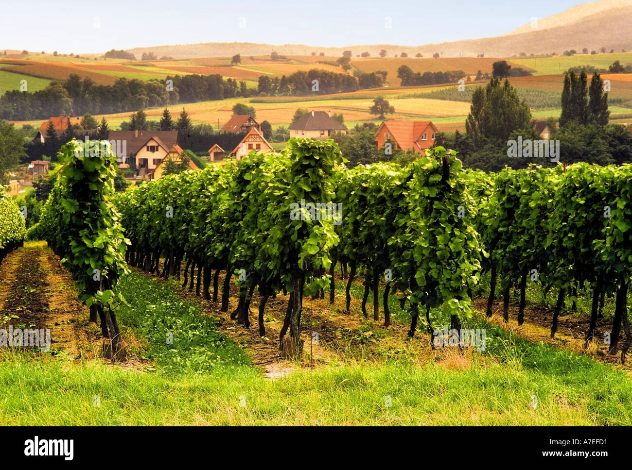 Lembach alsace -Fotos und -Bildmaterial in hoher Auflösung – Alamy