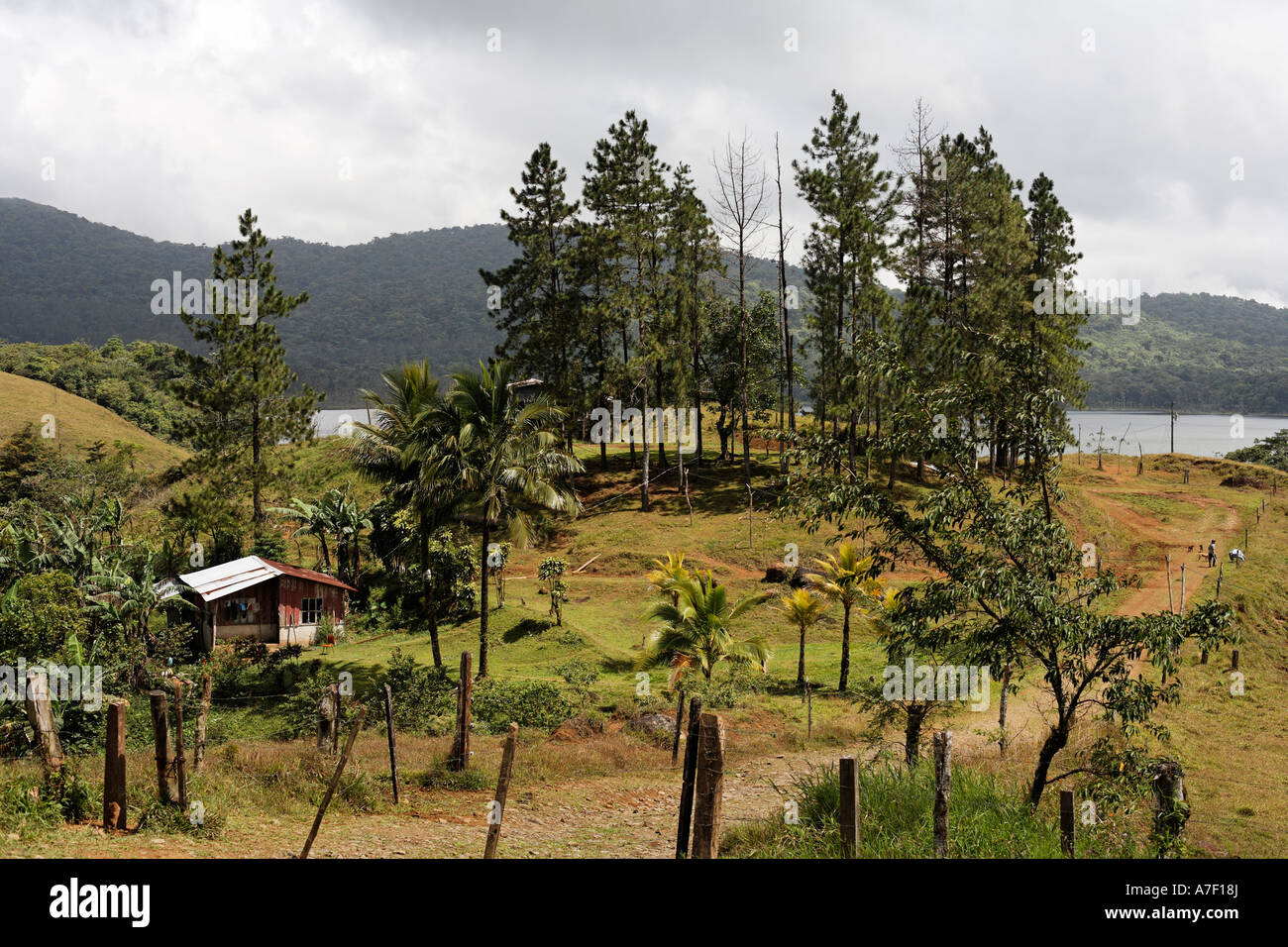 Lago de Cote, Arenal Region, Costa Rica Stockfotografie - Alamy