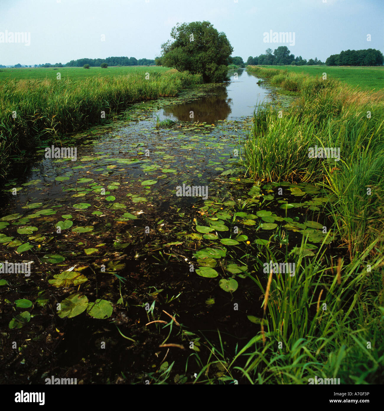 Lilienthal bei bremen -Fotos und -Bildmaterial in hoher Auflösung – Alamy
