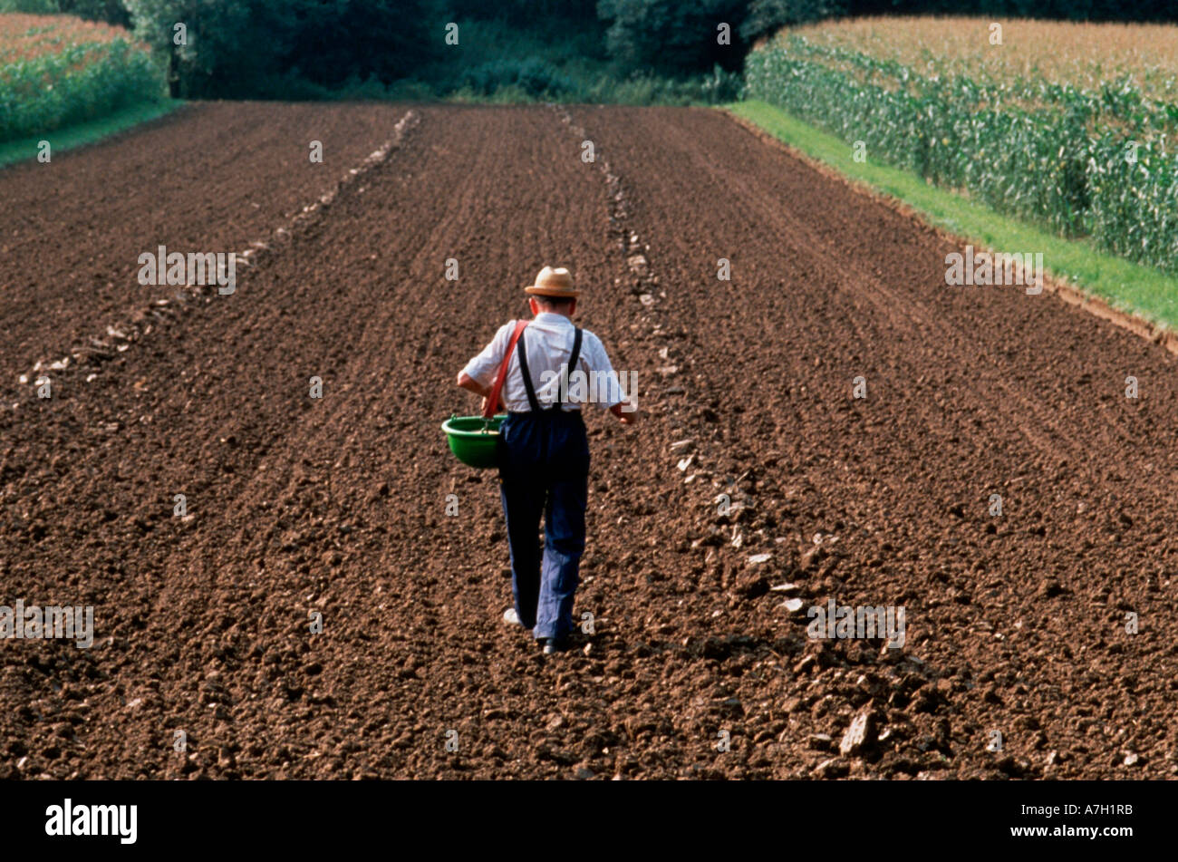 Aussaat landwirtschaft -Fotos und -Bildmaterial in hoher Auflösung – Alamy