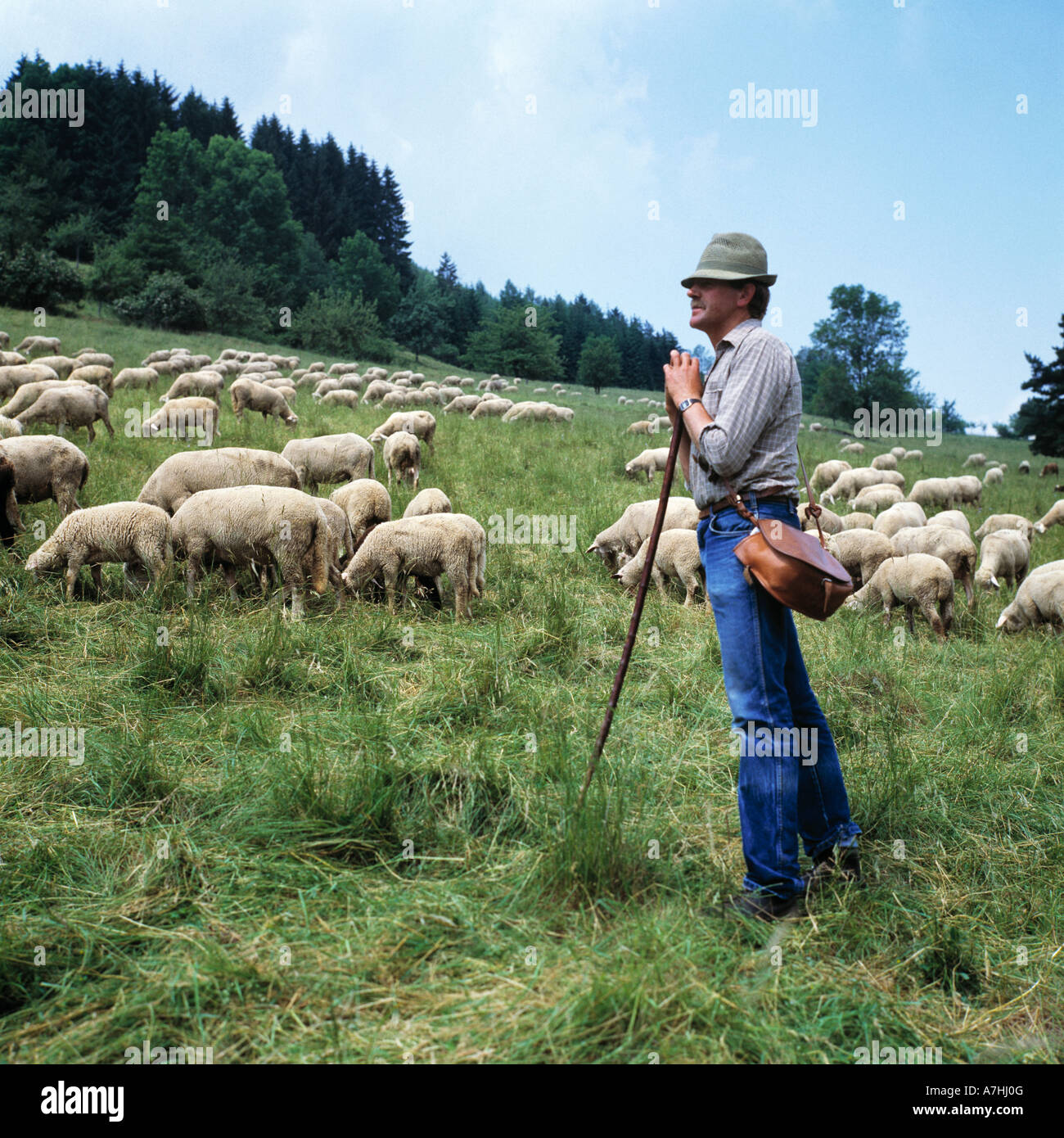 D-Albstadt, Eyach, Schmiecha, schwäbischen Alb, Baden-Württemberg ...