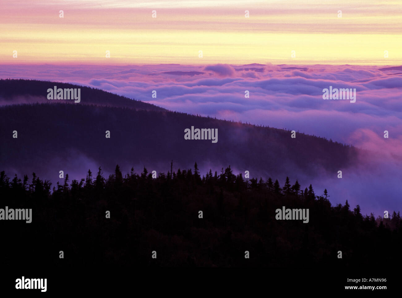 Nash stream state park -Fotos und -Bildmaterial in hoher Auflösung – Alamy