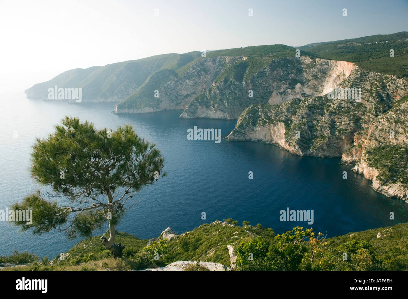 Schiza bay -Fotos und -Bildmaterial in hoher Auflösung – Alamy
