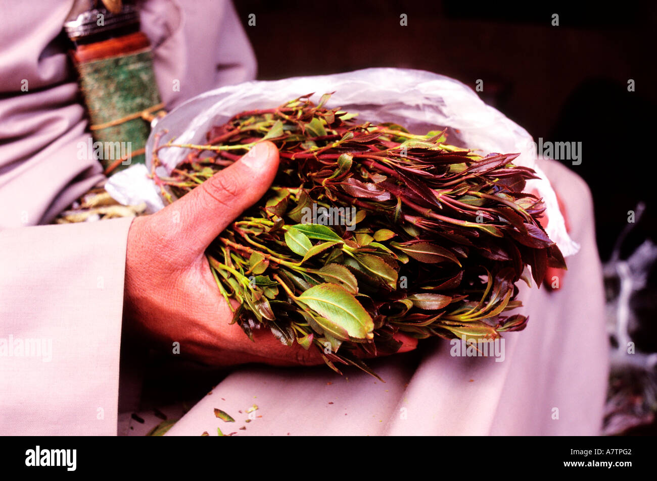 Sanaa souk -Fotos und -Bildmaterial in hoher Auflösung - Seite 3 - Alamy