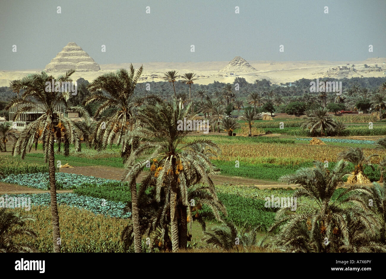 Ägypten, altes Reich, Agrarwissenschaften mit Stufenpyramide des Djoser ...