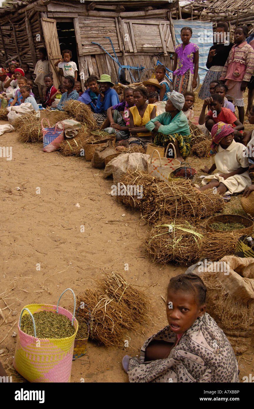 Medizinischer handel -Fotos und -Bildmaterial in hoher Auflösung – Alamy
