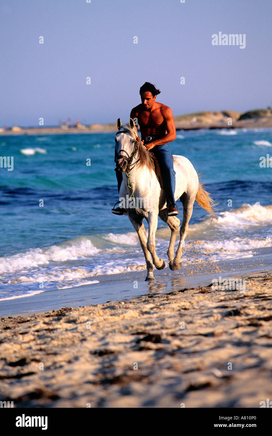 Reiten am strand model release ok -Fotos und -Bildmaterial in hoher ...