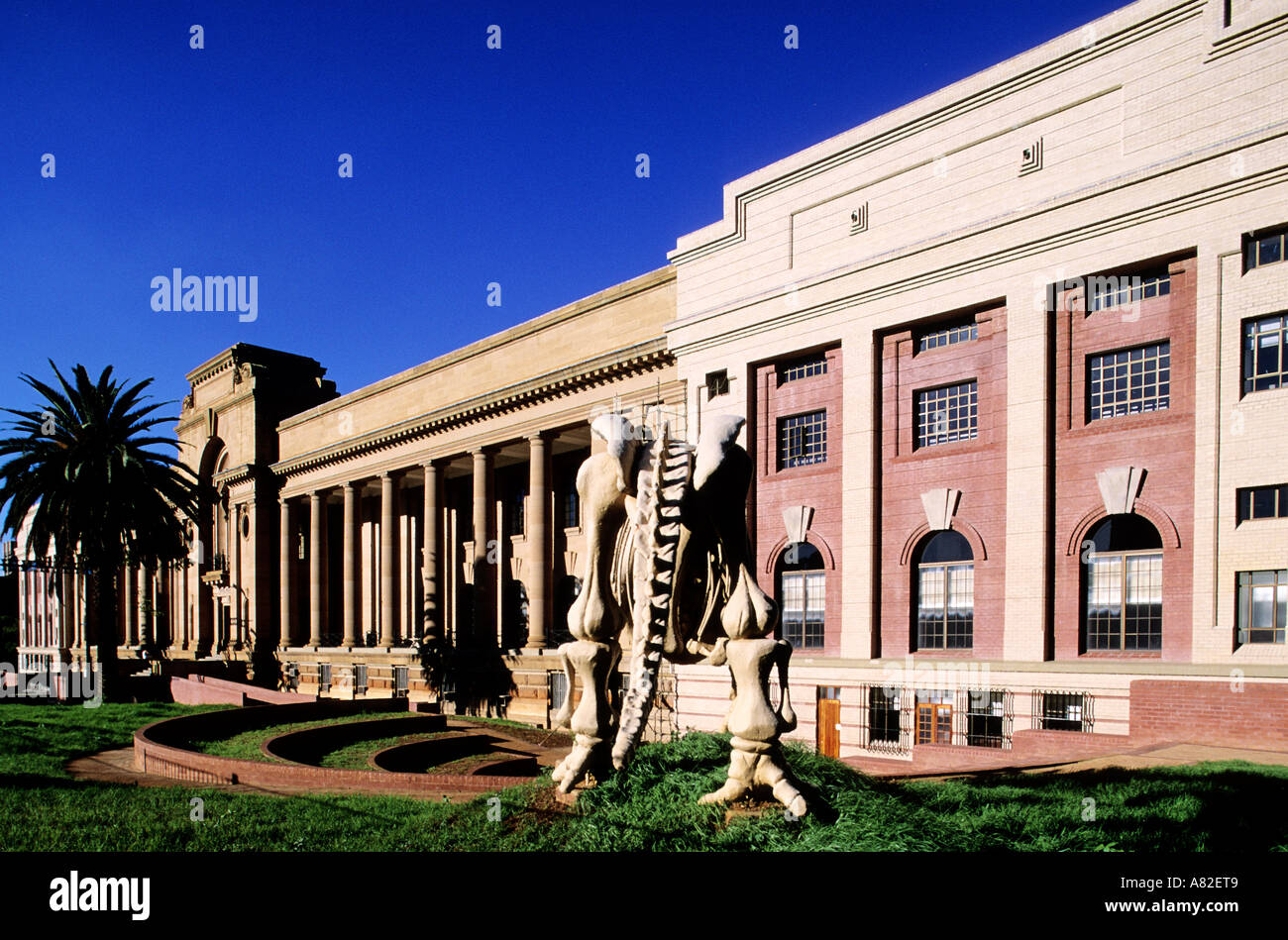 Museo del transvaal -Fotos und -Bildmaterial in hoher Auflösung – Alamy