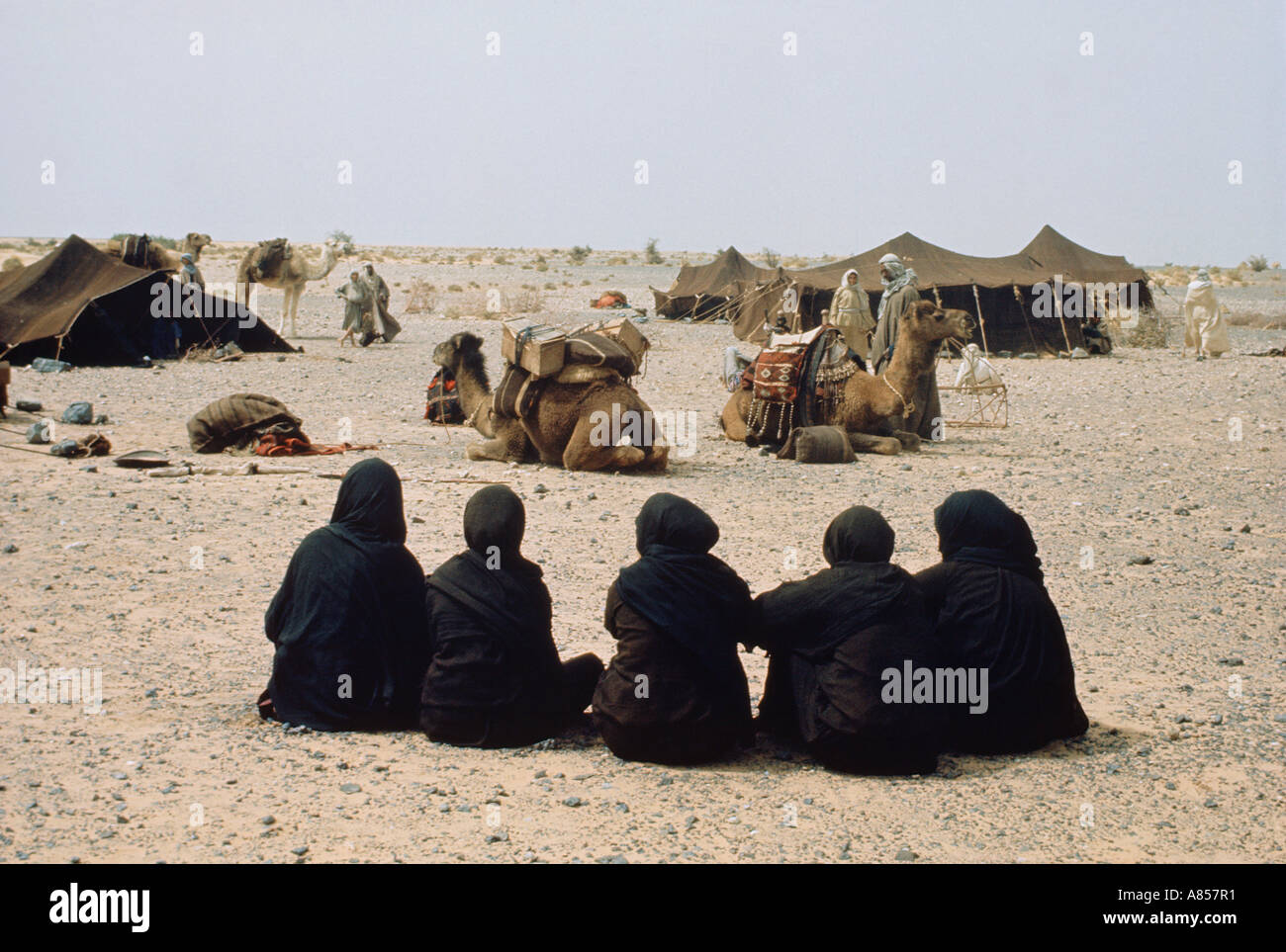 Sitzende beduinen -Fotos und -Bildmaterial in hoher Auflösung – Alamy