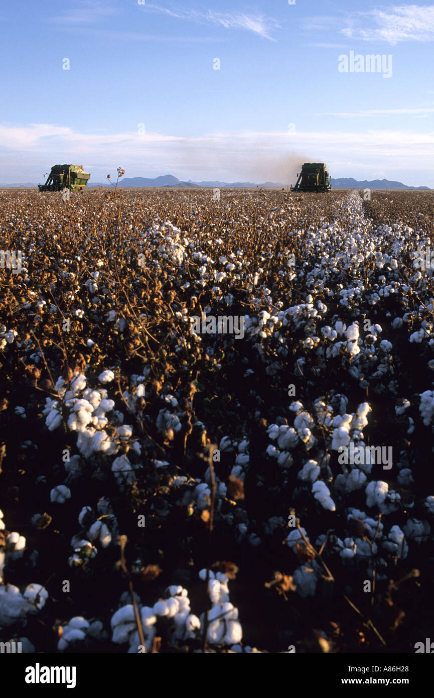 Paloma ranch -Fotos und -Bildmaterial in hoher Auflösung – Alamy