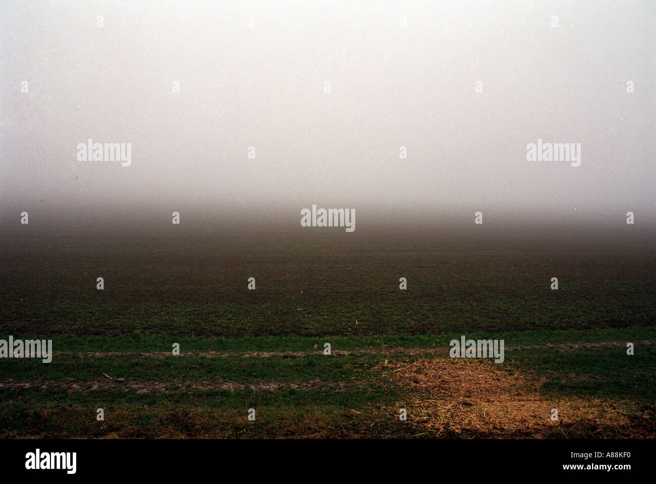 Nach links verblassen -Fotos und -Bildmaterial in hoher Auflösung – Alamy