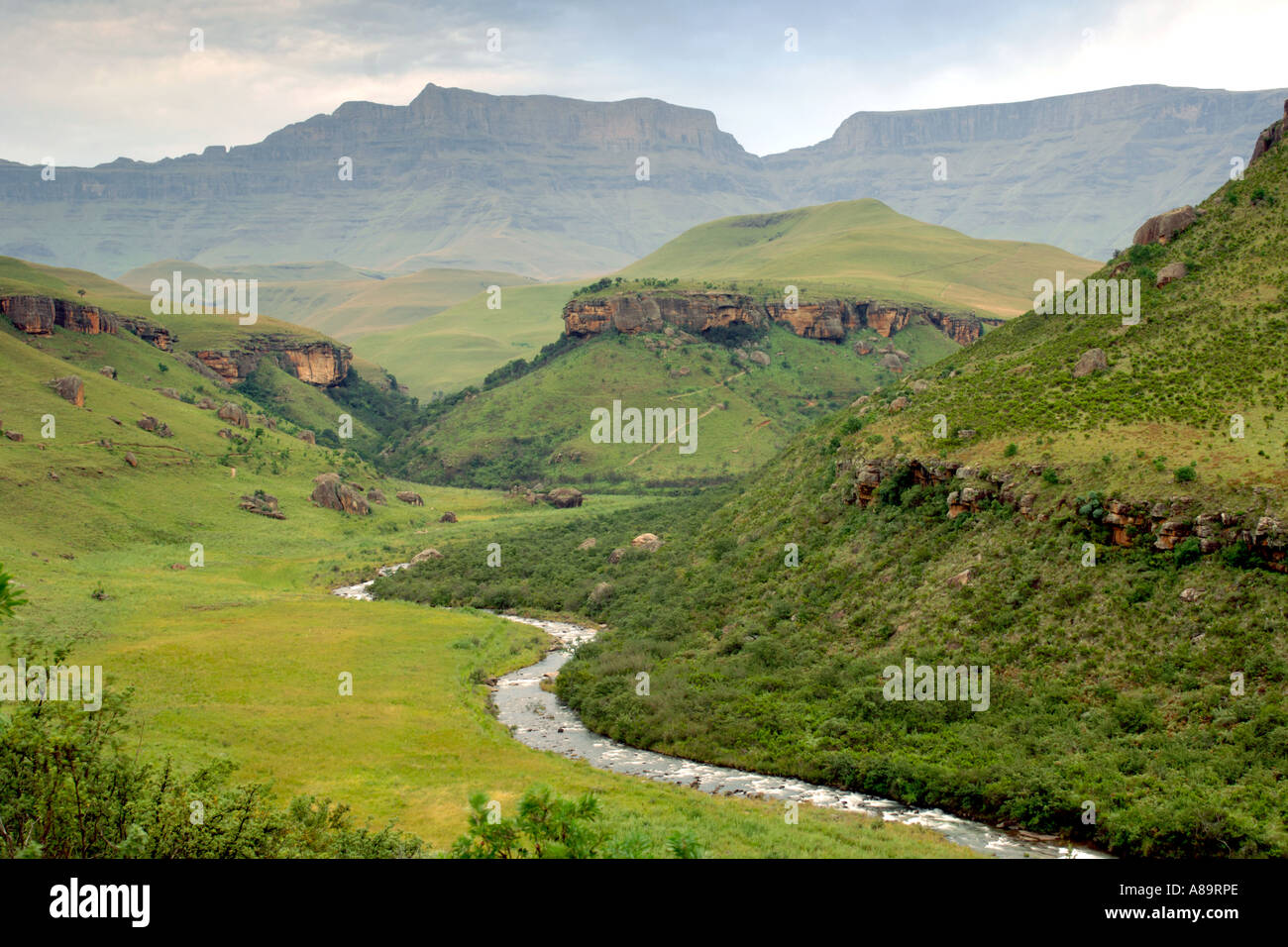 Bushmans river -Fotos und -Bildmaterial in hoher Auflösung – Alamy