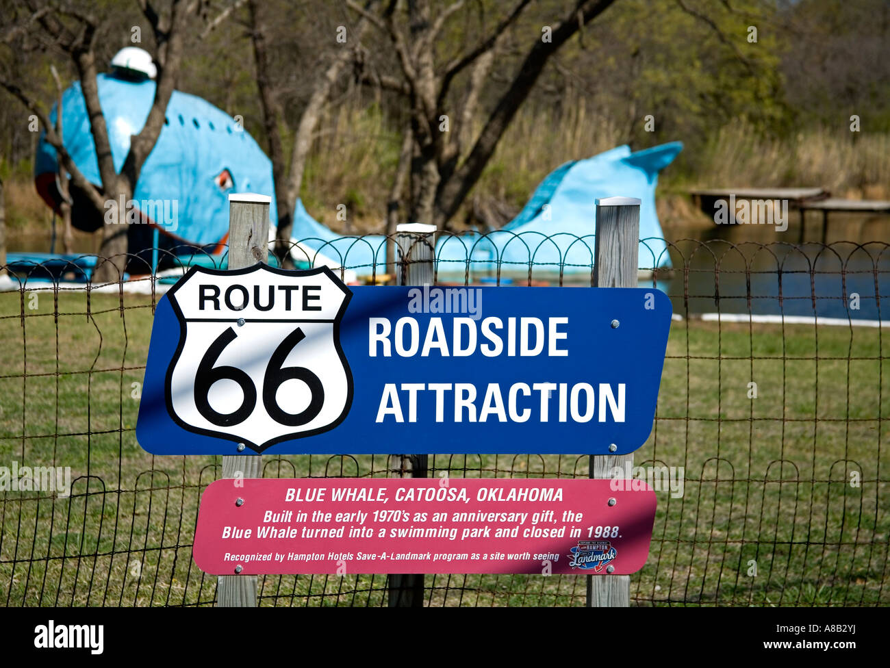 Blauwal catoosa -Fotos und -Bildmaterial in hoher Auflösung – Alamy