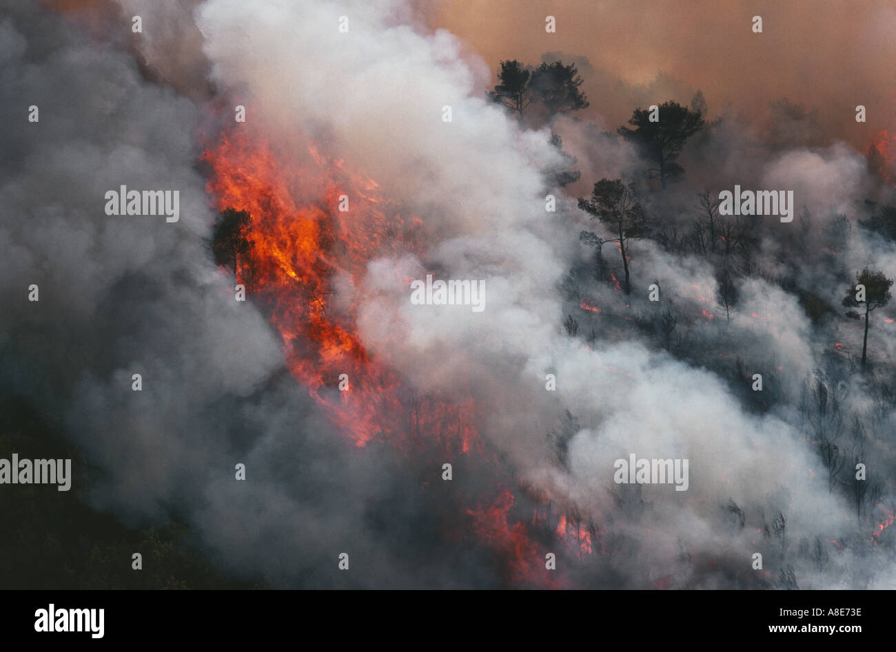 Drohender waldbrand -Fotos und -Bildmaterial in hoher Auflösung – Alamy