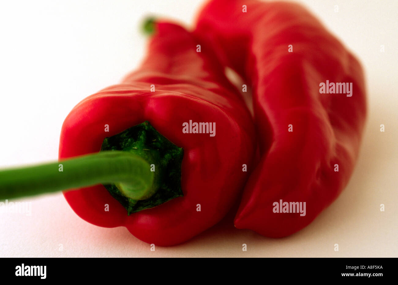 Lange rote -Fotos und -Bildmaterial in hoher Auflösung – Alamy