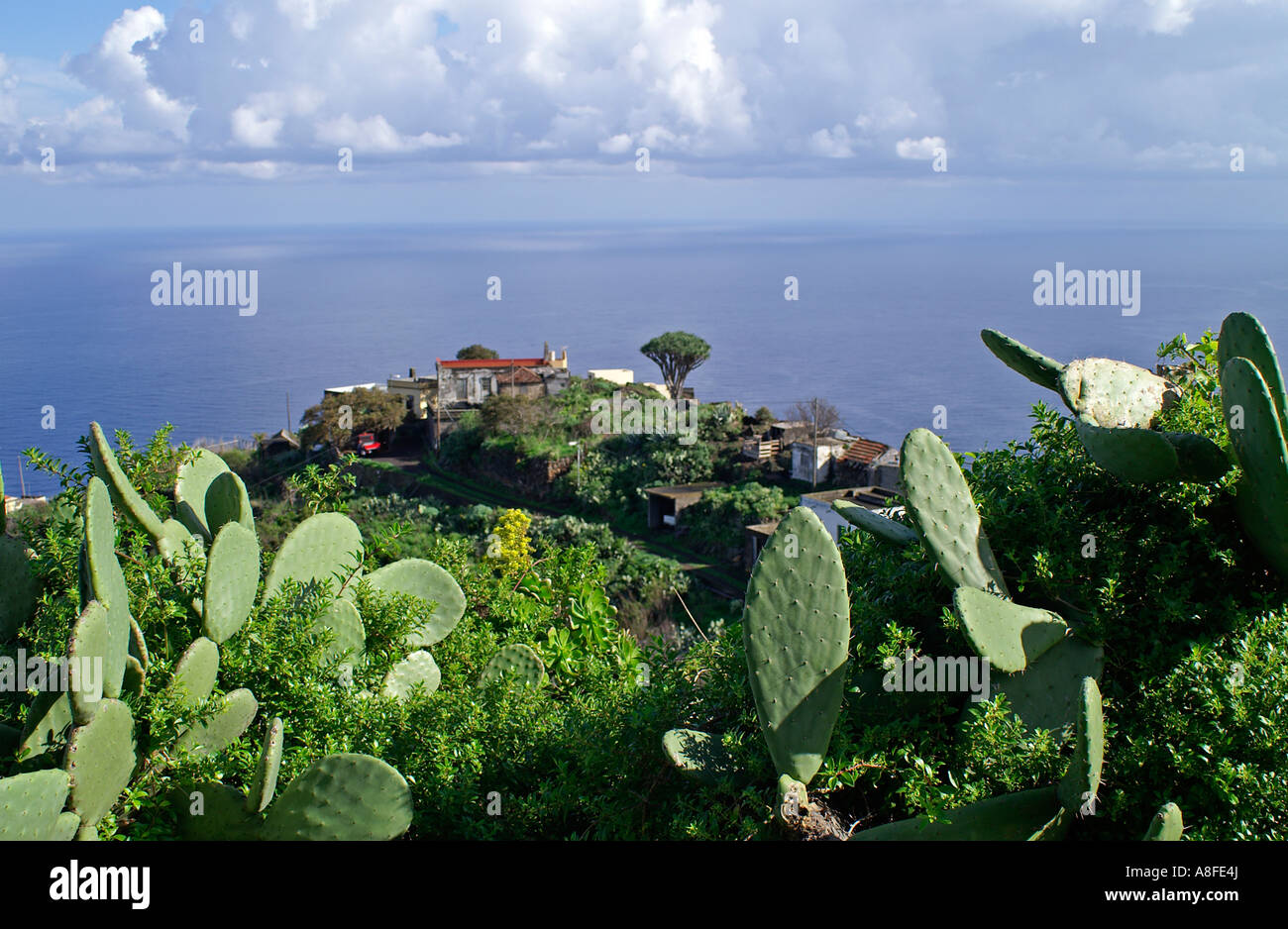 Tablado -Fotos und -Bildmaterial in hoher Auflösung – Alamy