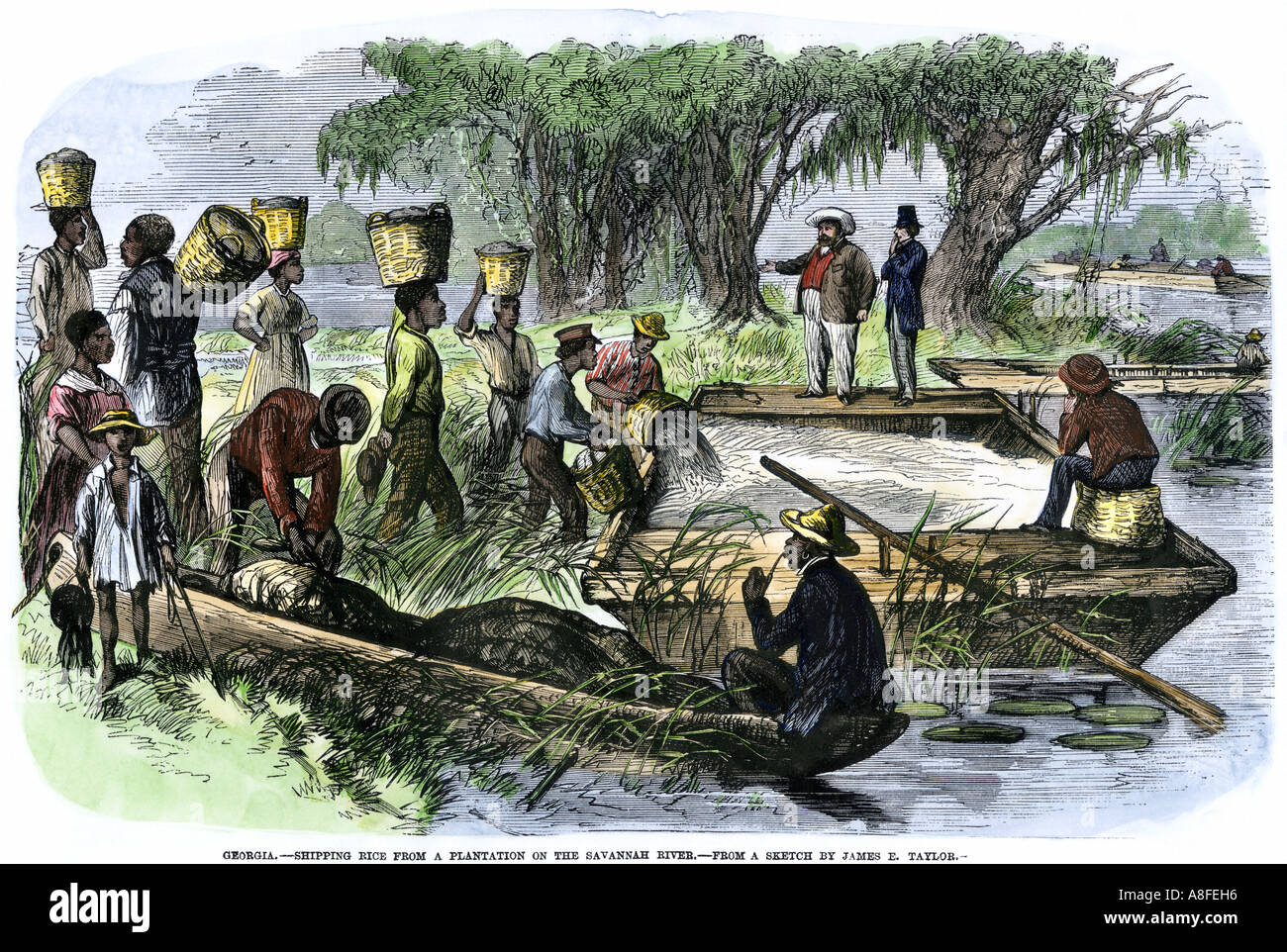 Plantation Slaves Usa Stockfotos & Plantation Slaves Usa Bilder - Alamy