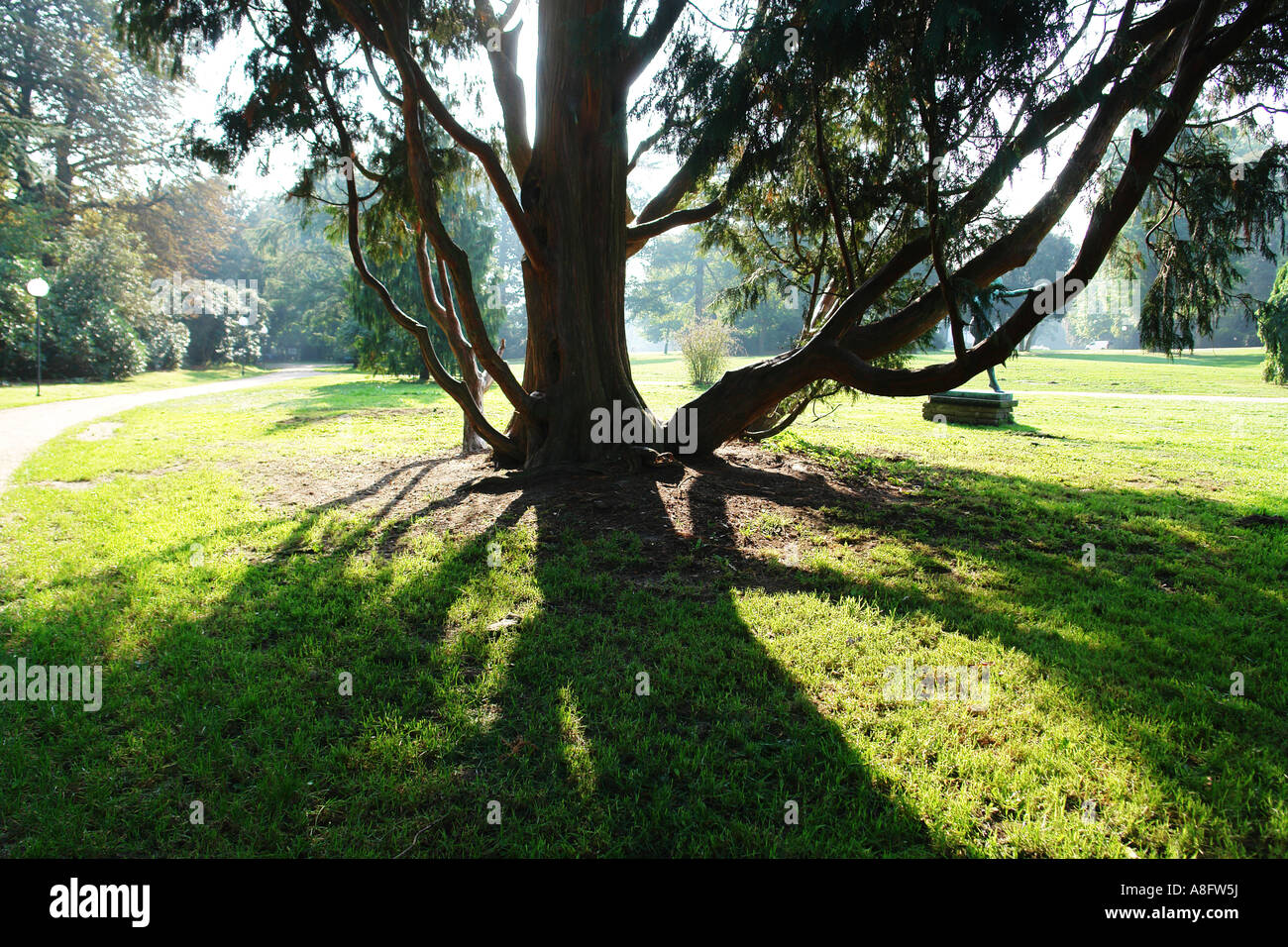 Jenisch park -Fotos und -Bildmaterial in hoher Auflösung – Alamy