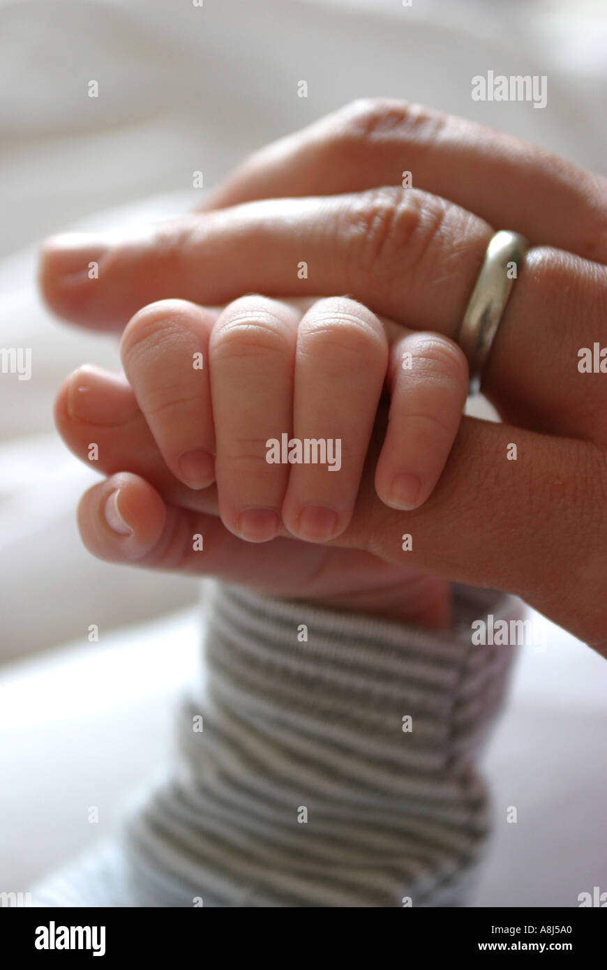 Umklammerte die hand ihres vaters -Fotos und -Bildmaterial in hoher ...