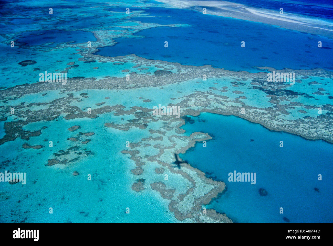Korallen in der Nähe von Hardy Reef Whitsunday Islands Nationalpark ...