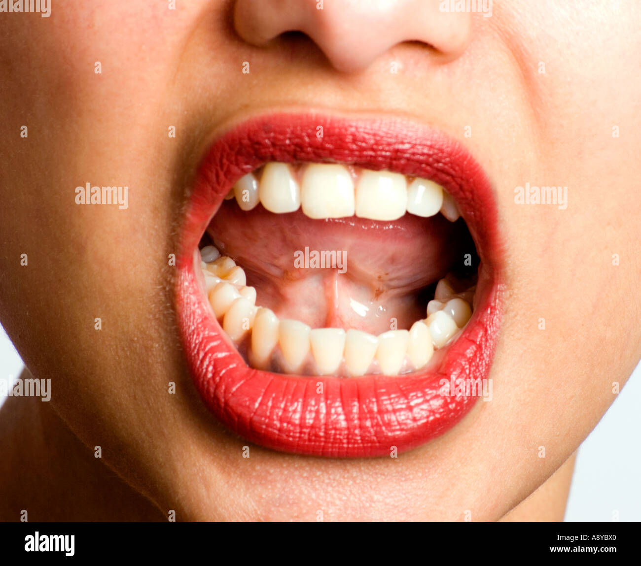 Dicke lippen -Fotos und -Bildmaterial in hoher Auflösung – Alamy