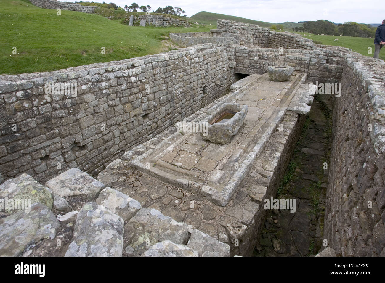 Römische latrinen -Fotos und -Bildmaterial in hoher Auflösung – Alamy