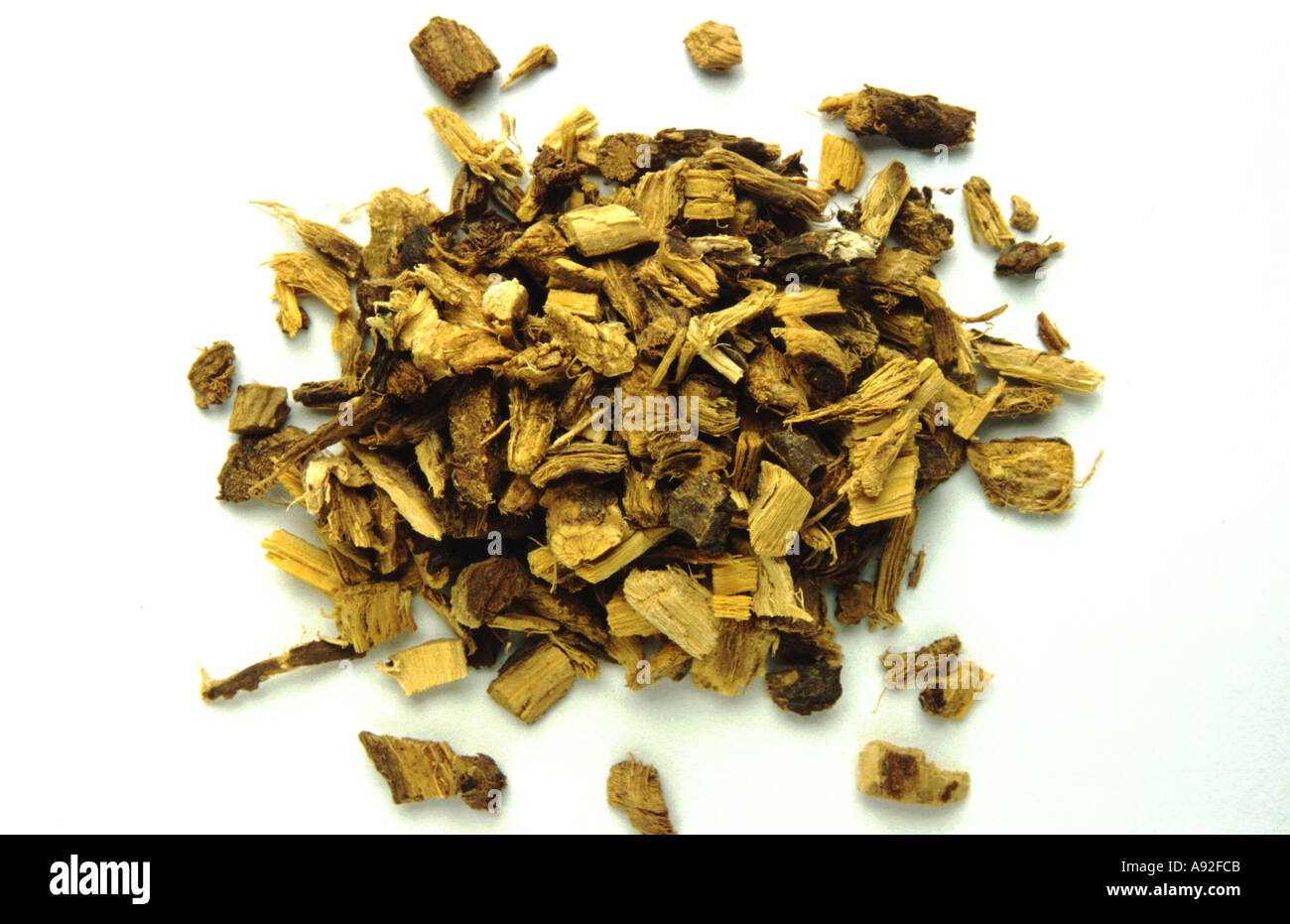 Suessholz Glycyrrhiza Glabra Stockfotos und -bilder Kaufen - Alamy