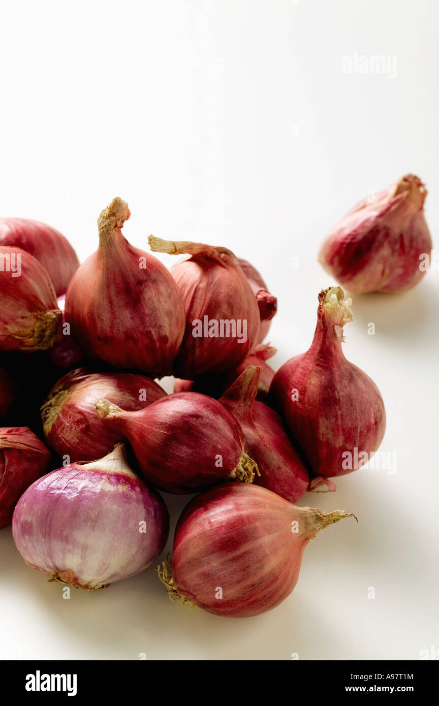 Mehrere schalotten -Fotos und -Bildmaterial in hoher Auflösung – Alamy