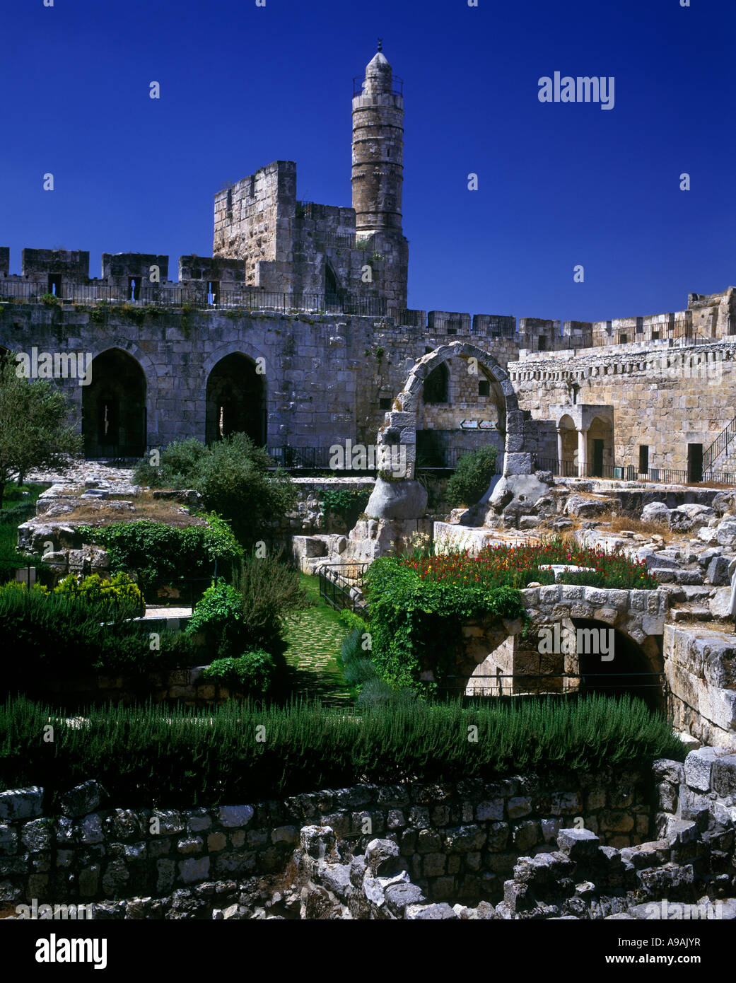 David museum -Fotos und -Bildmaterial in hoher Auflösung – Alamy