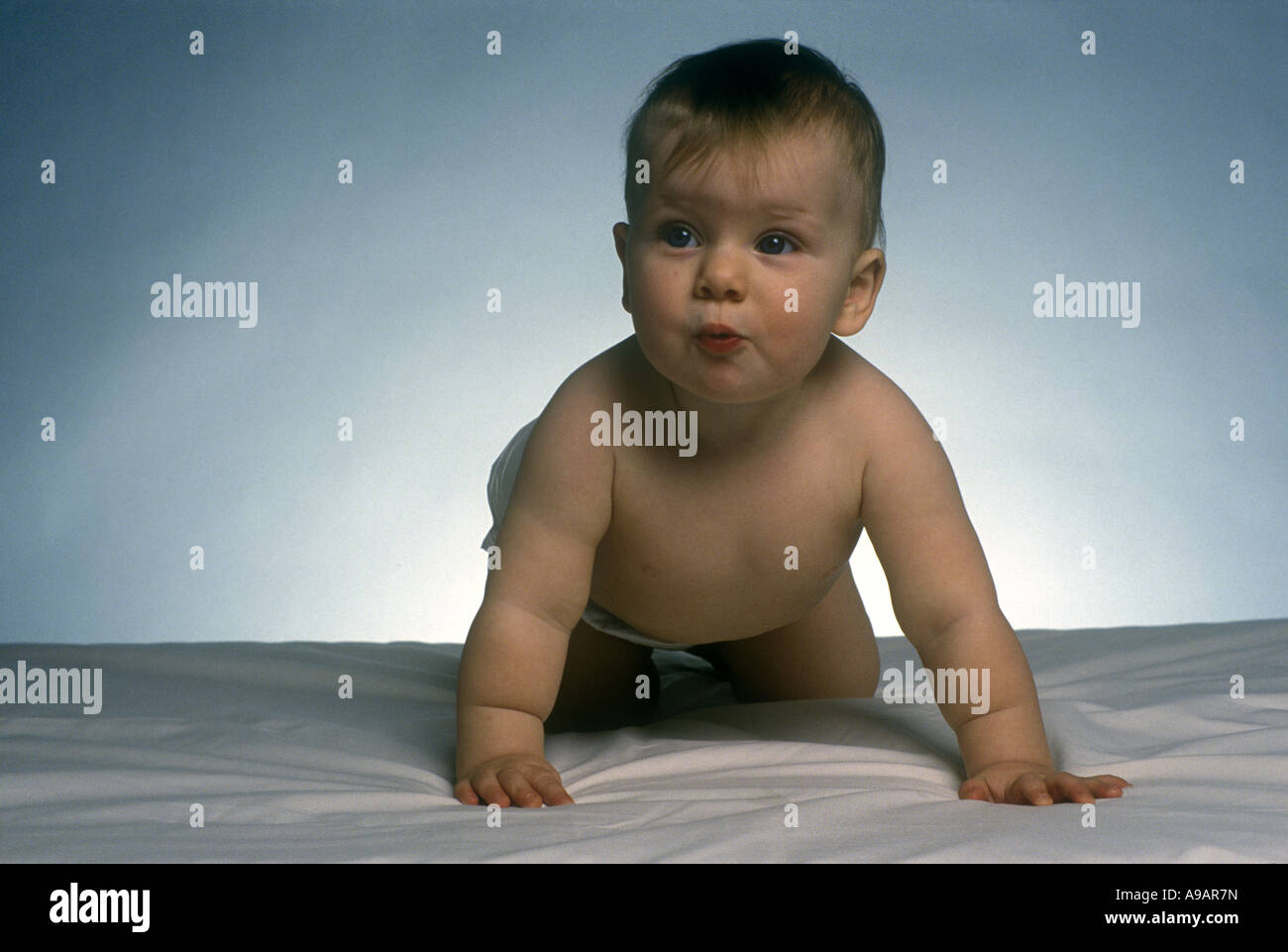 Auf allen vieren kriechen -Fotos und -Bildmaterial in hoher Auflösung – Alamy